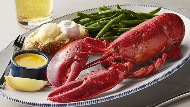 Live Maritime Lobster (1.25 lb.) | Red Lobster Seafood Restaurants